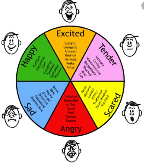 La gestion des émotions ... ou comment "s'explorer" - Sophie Rousse